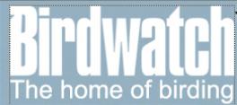 Birdwatch logo – Northants birds