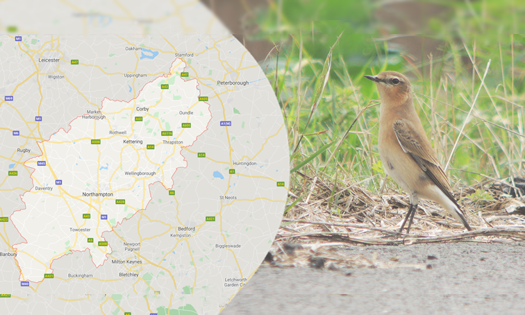 Birding Location Maps – Northants birds